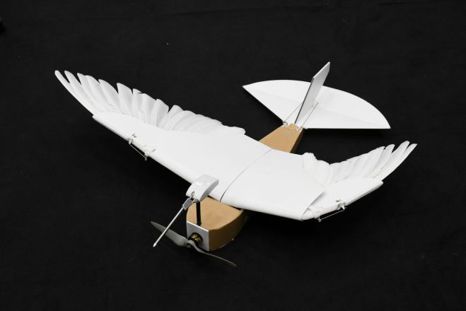 The PigeonBot flies like a bird but won’t poop like one