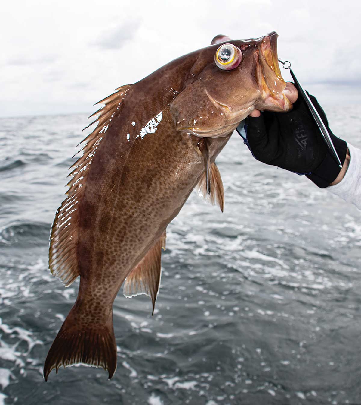 Releasing a caught fish isn’t as simple as tossing it overboard