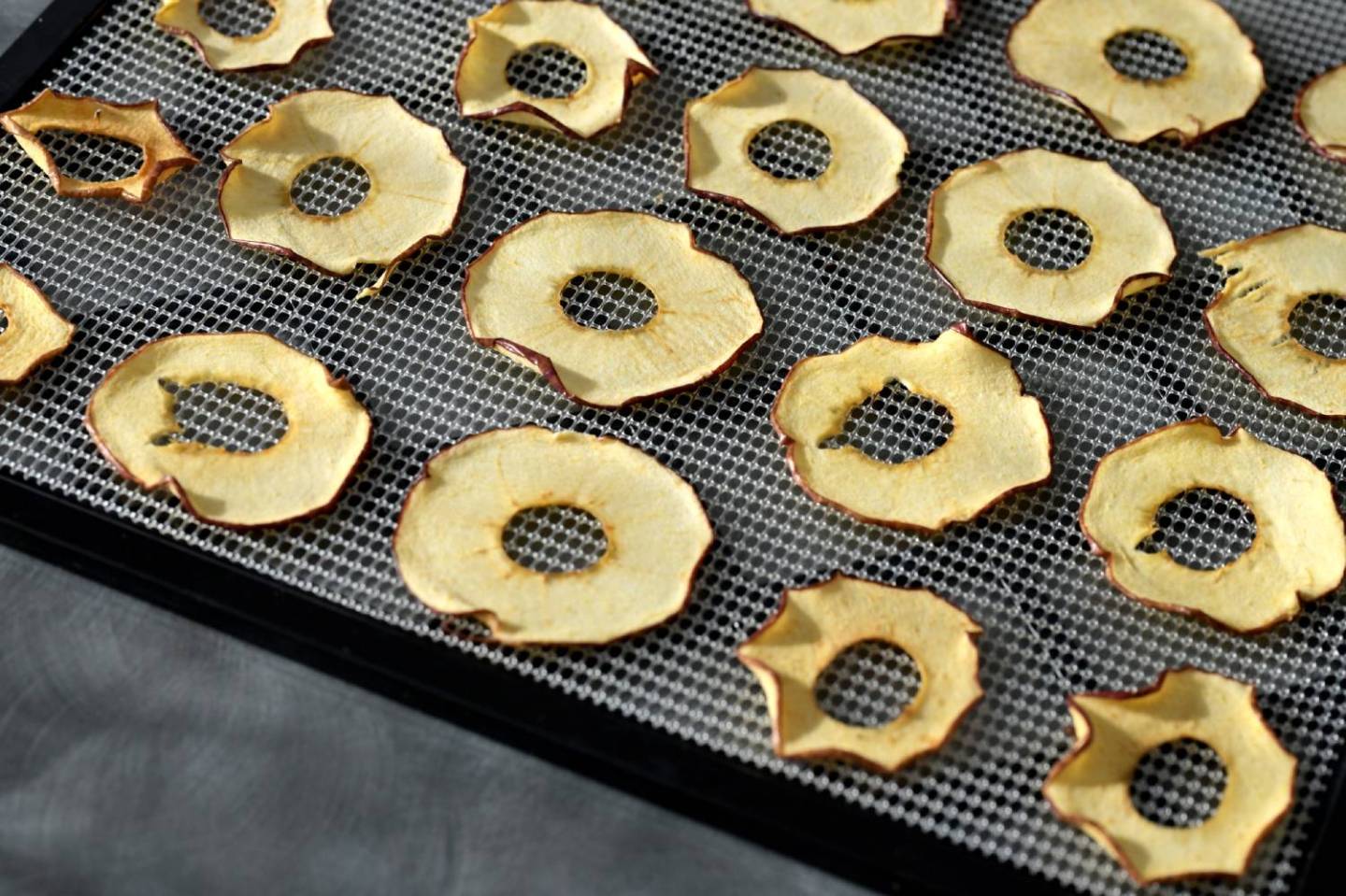 Hit the trail with homemade fruit leather and other dehydrated snacks