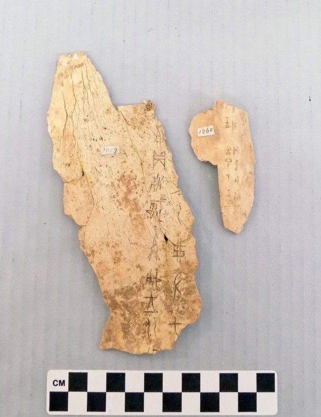 Five surprising ways people have used (and are still using) bones