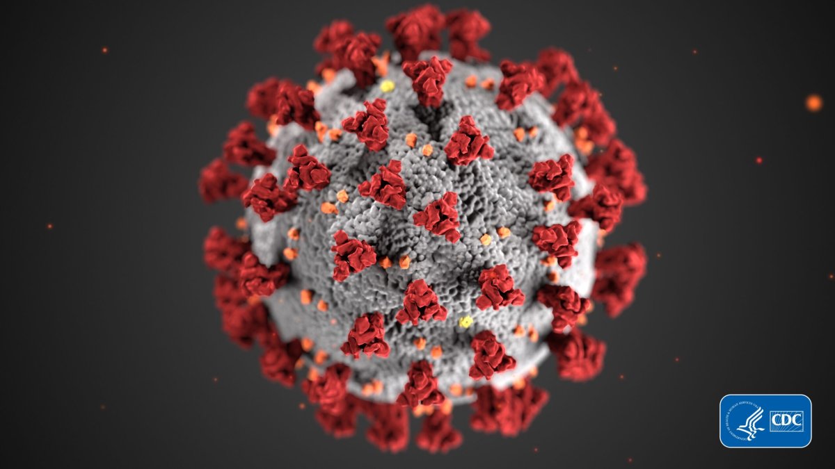 Herd immunity, contact tracing, and other terms to help you understand ...