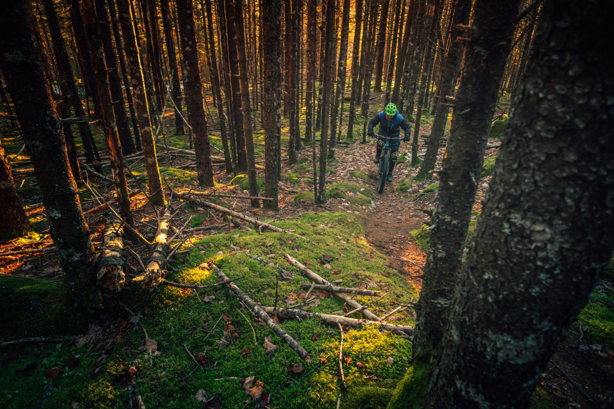 A guide to safe outdoor activities during the coronavirus pandemic