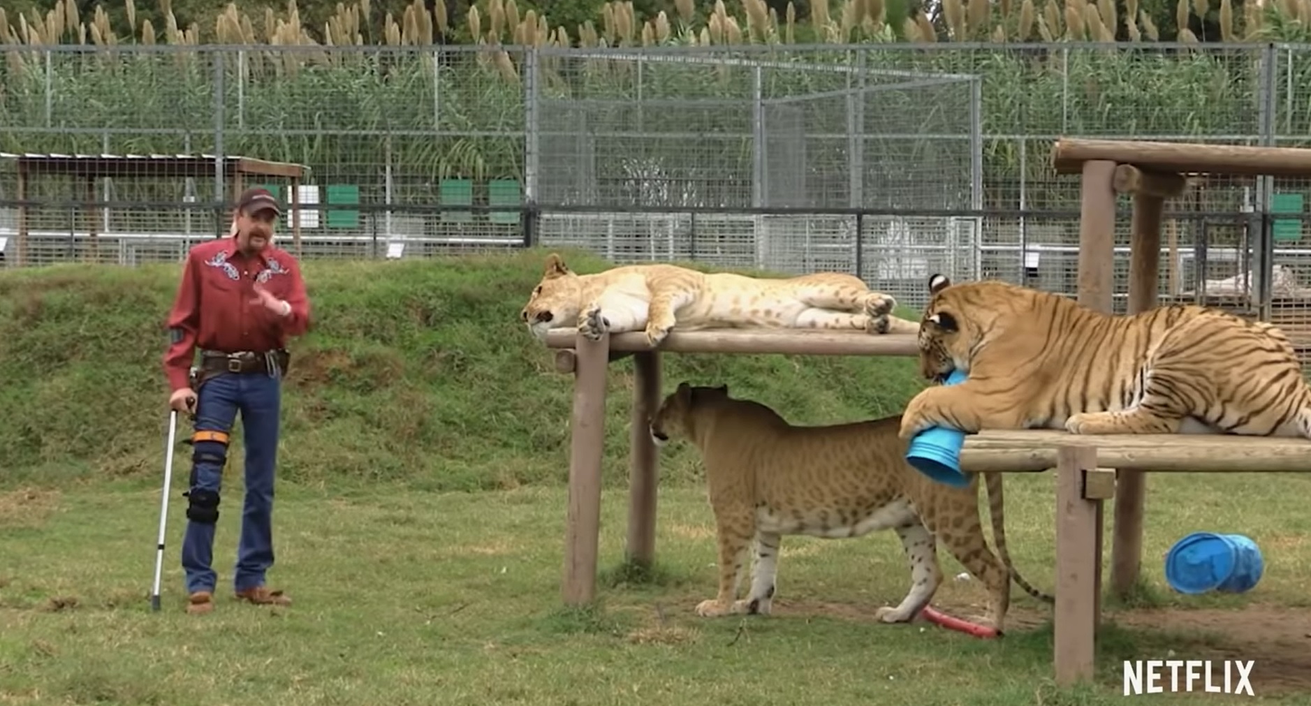 ‘Tiger King’ would have been more disturbing if it had focused on the ...