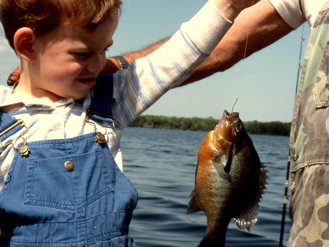 A beginner’s guide to freshwater fishing