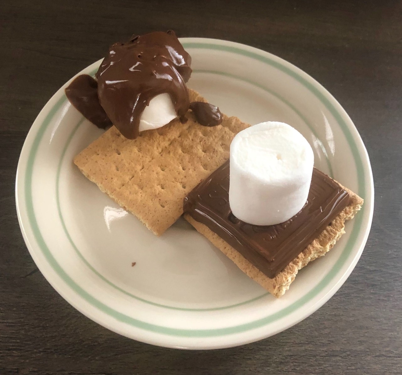 Stay-at-home science project: Bake s’mores using the power of the sun