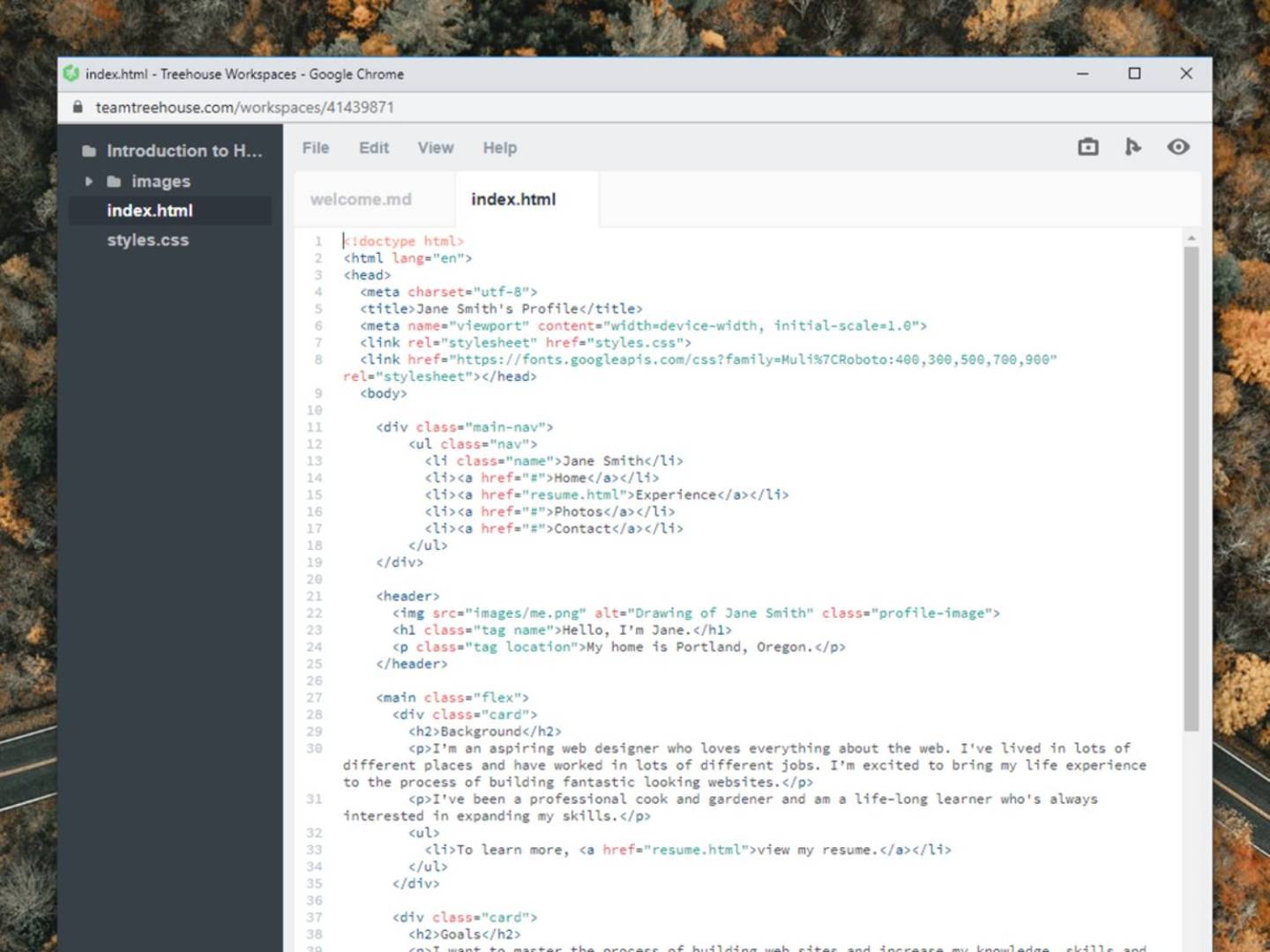 The best apps and sites to learn how to code