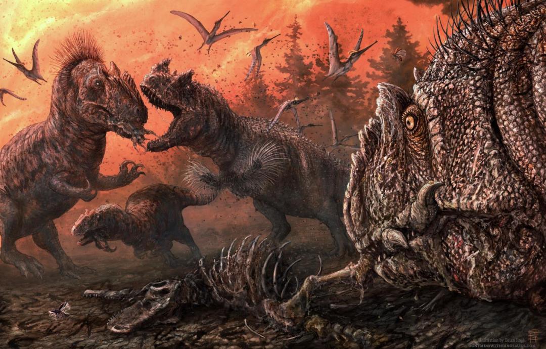 This bone-eating dinosaur was constantly losing its teeth