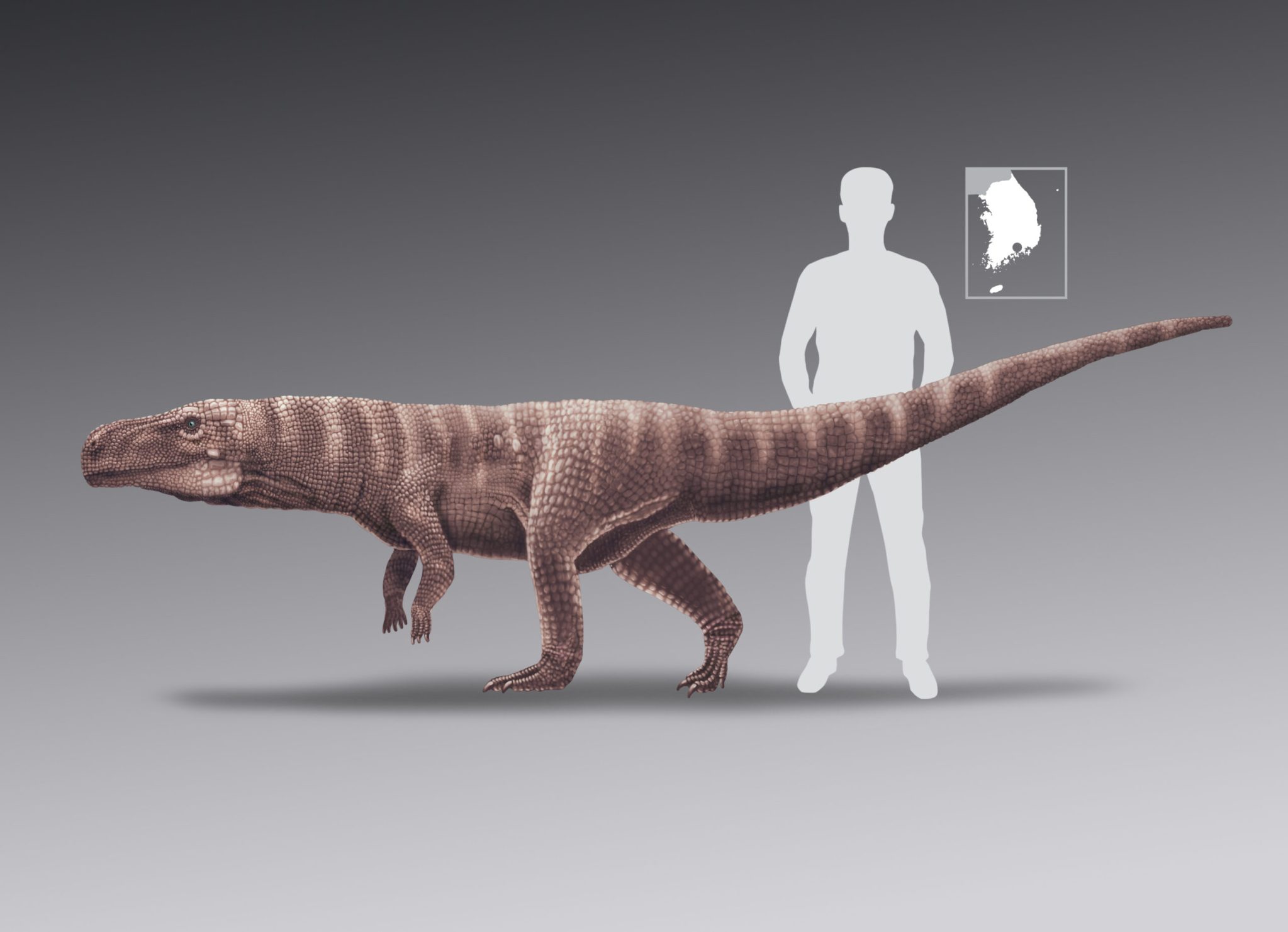 Crocodiles’ ancient ancestors may have walked on two legs