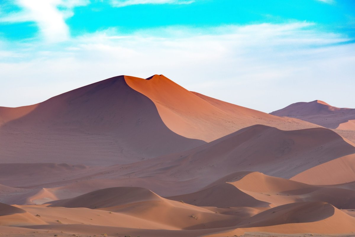 Half of the Earth is still free from human impact, but it’s not all ...