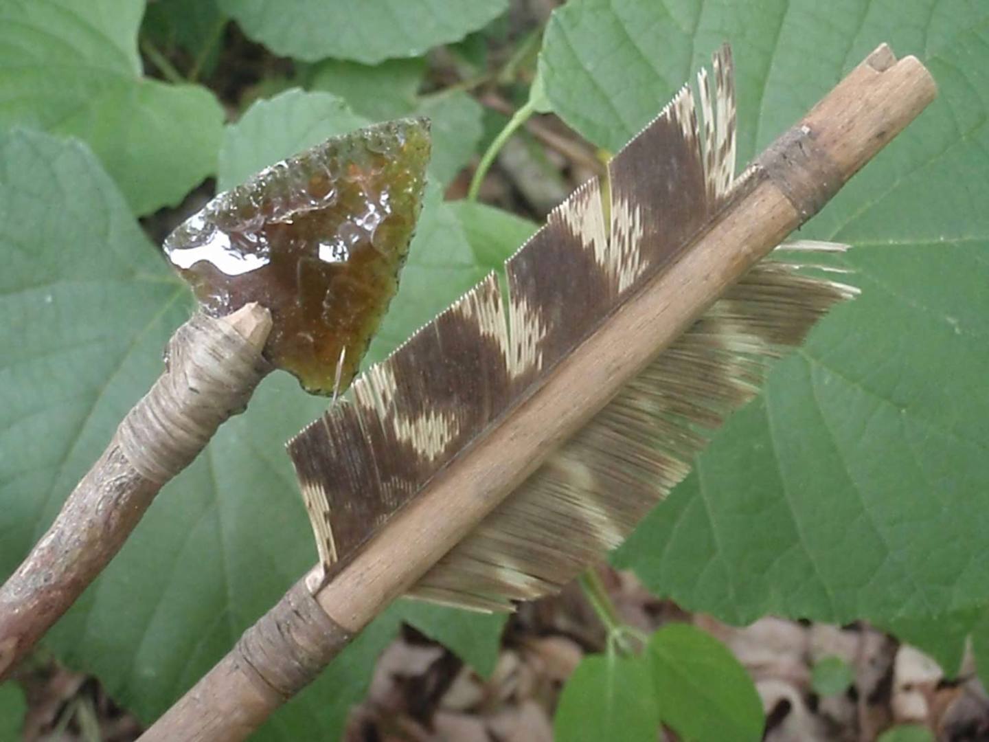 How to build your own bow and arrows when you’re lost in the wild