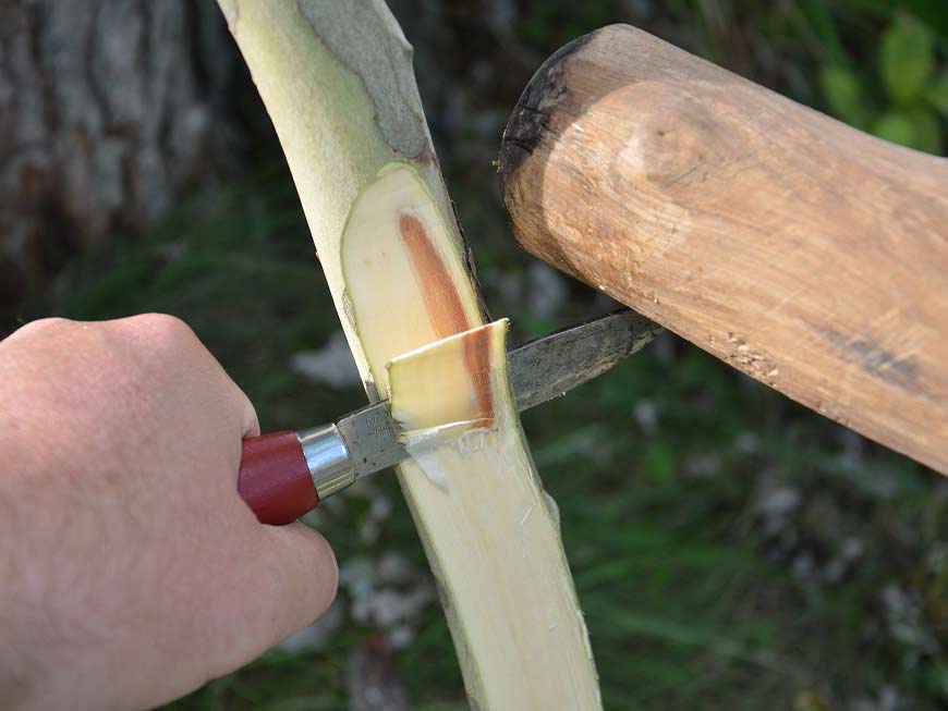 How to build your own bow and arrows when you’re lost in the wild
