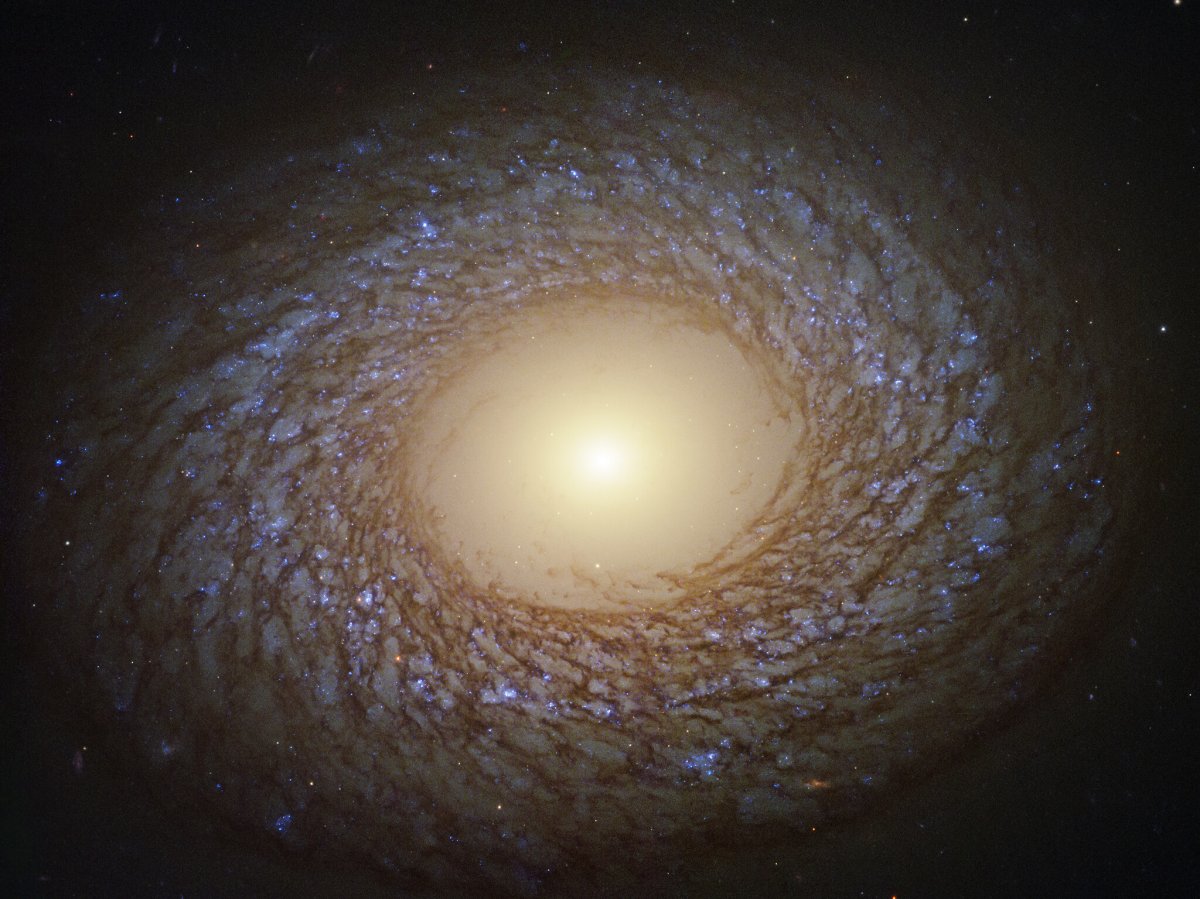 Hubble just captured this ‘fluffy’ galaxy in all its flocculent glory