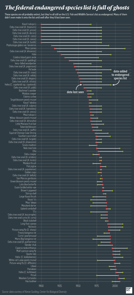 The endangered species list is full of ghosts
