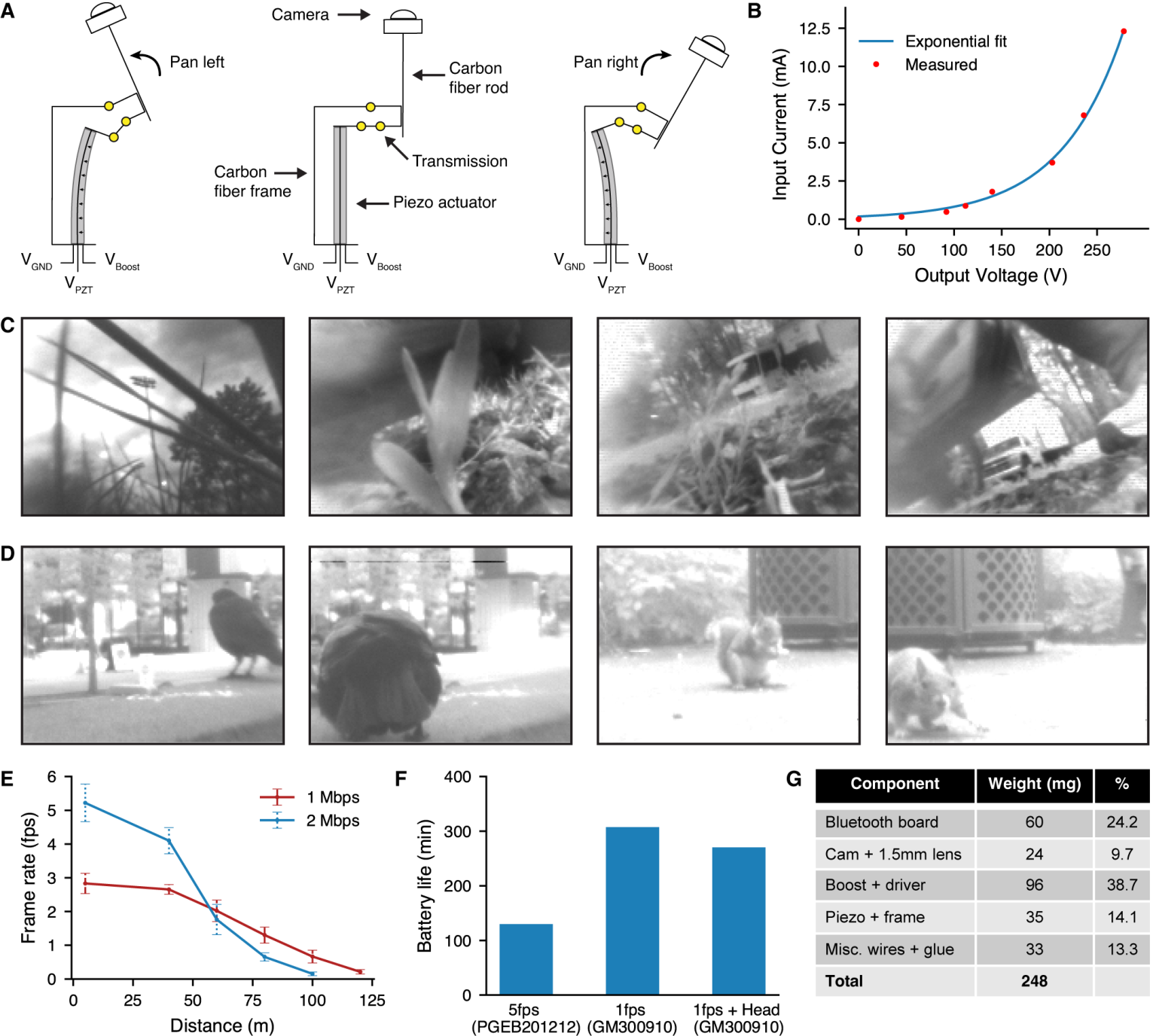 Scientists strapped tiny cameras to beetles to get a bug’s-eye view of ...