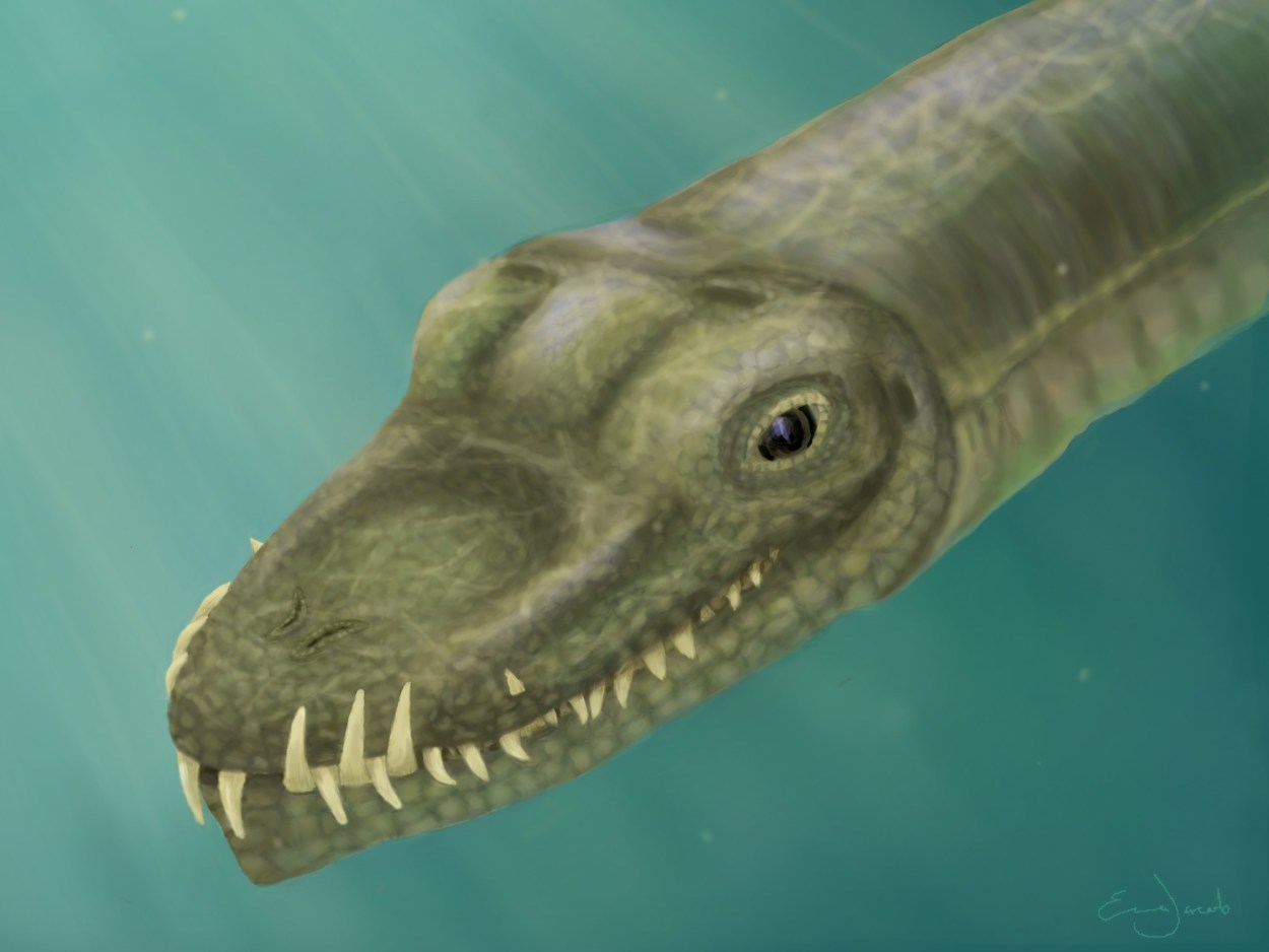 This ancient reptile had a super long neck to sneak up on unsuspecting fish