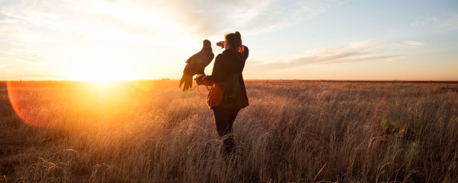A day in the life of an eagle wrangler