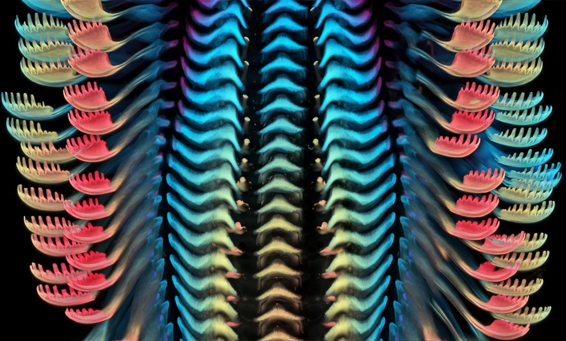 Can you guess the tiny objects in these zoomed-in photos?