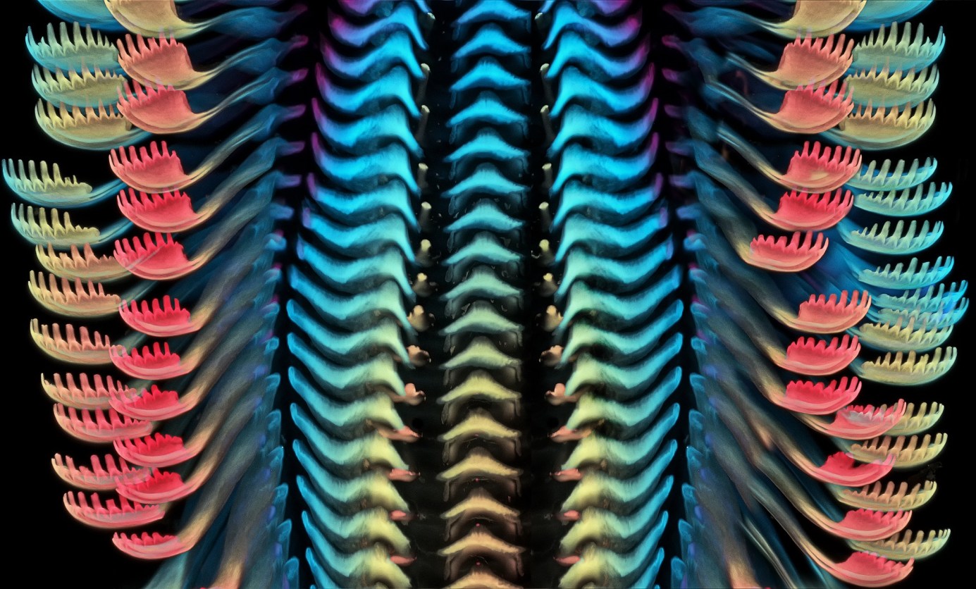 Can you guess the tiny objects in these zoomed-in photos?