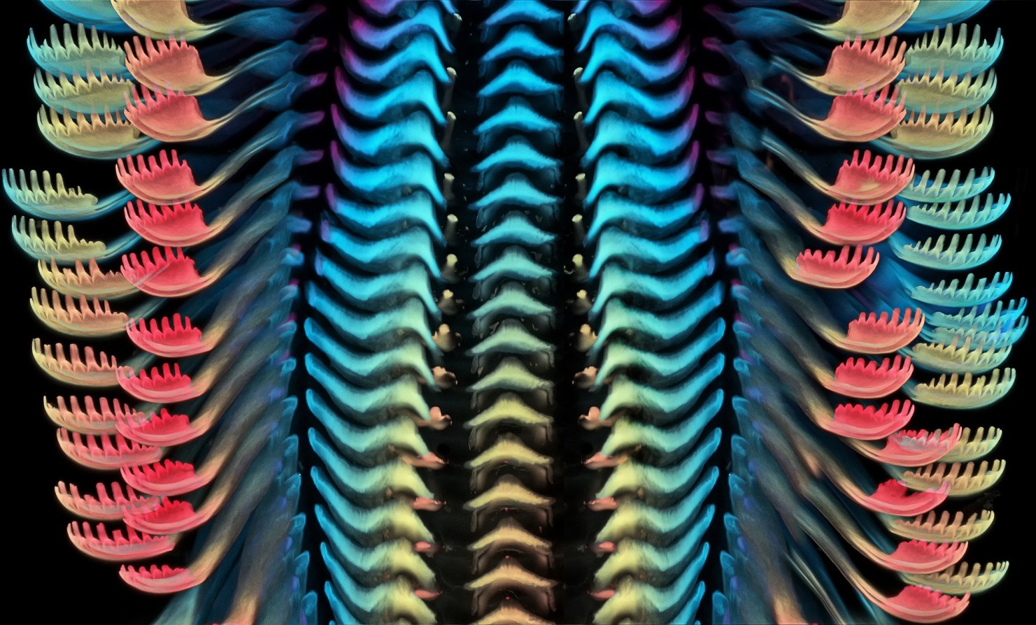 Can you guess the tiny objects in these zoomed-in photos?