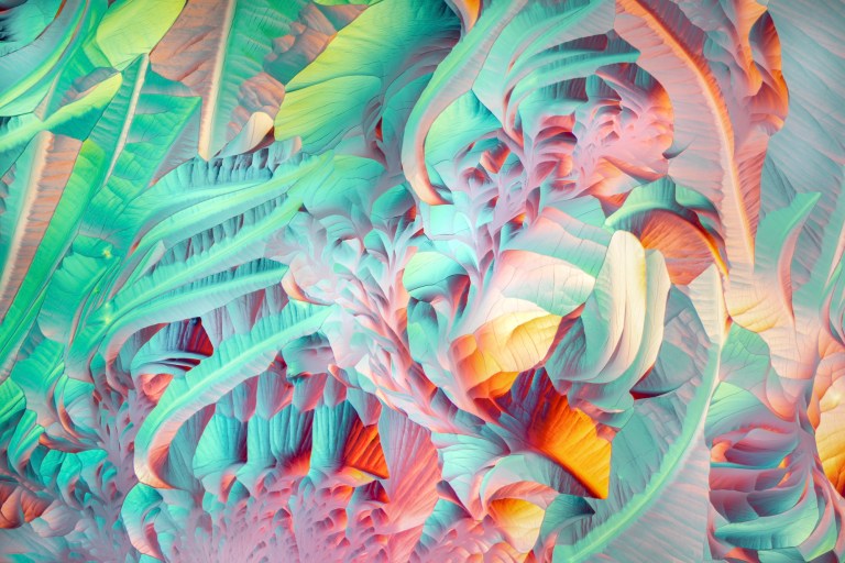 Can you guess the tiny objects in these zoomed-in photos?