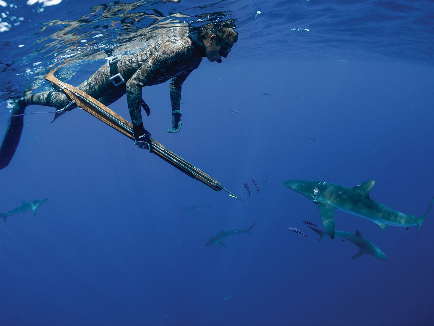 Take a stab at spearfishing with these tips