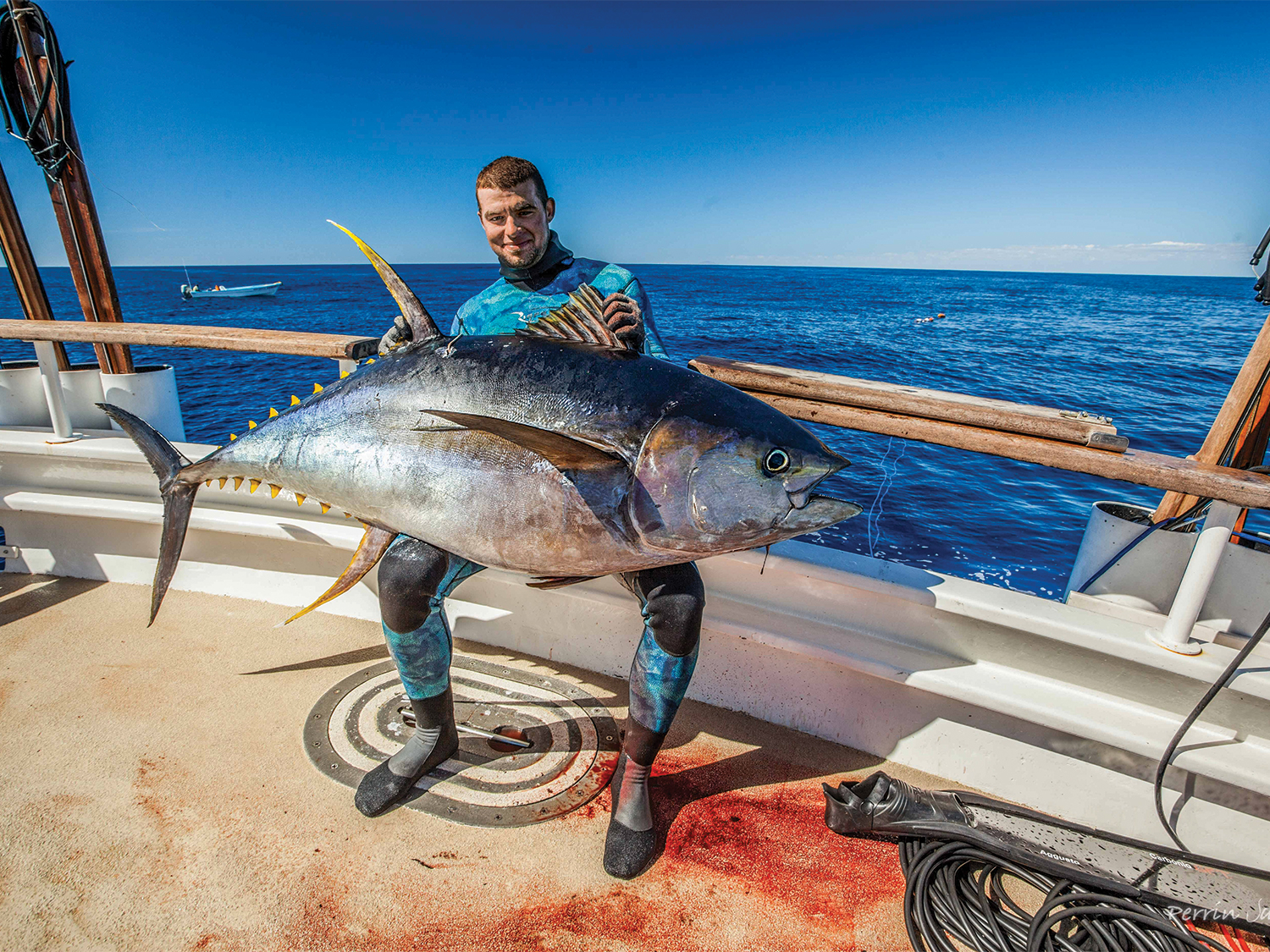 Take a stab at spearfishing with these tips