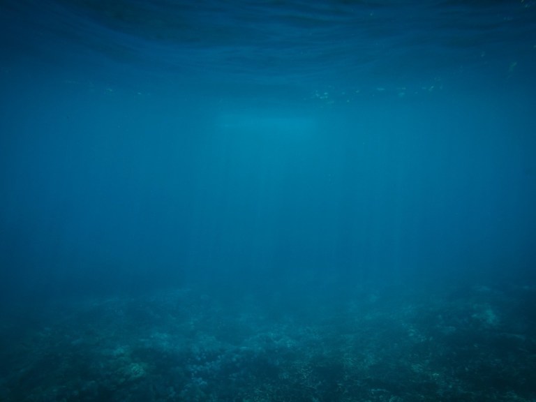 Scientists are tracking down deep sea creatures with free-floating DNA