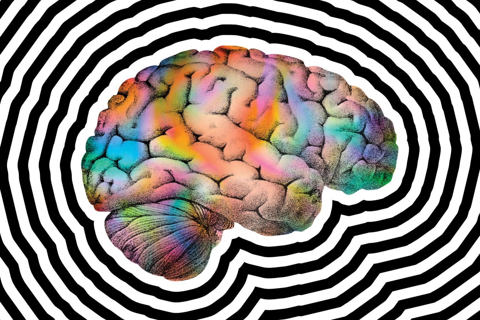 The science of psychedelics and spiritual healing | Popular Science