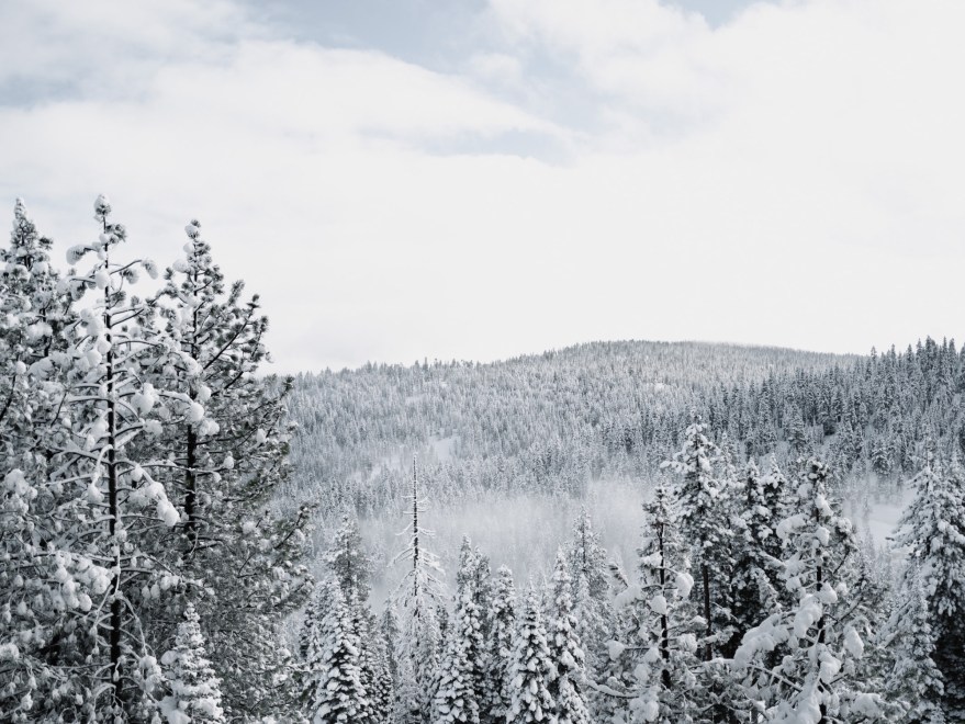 10 winter survival tips everyone should know