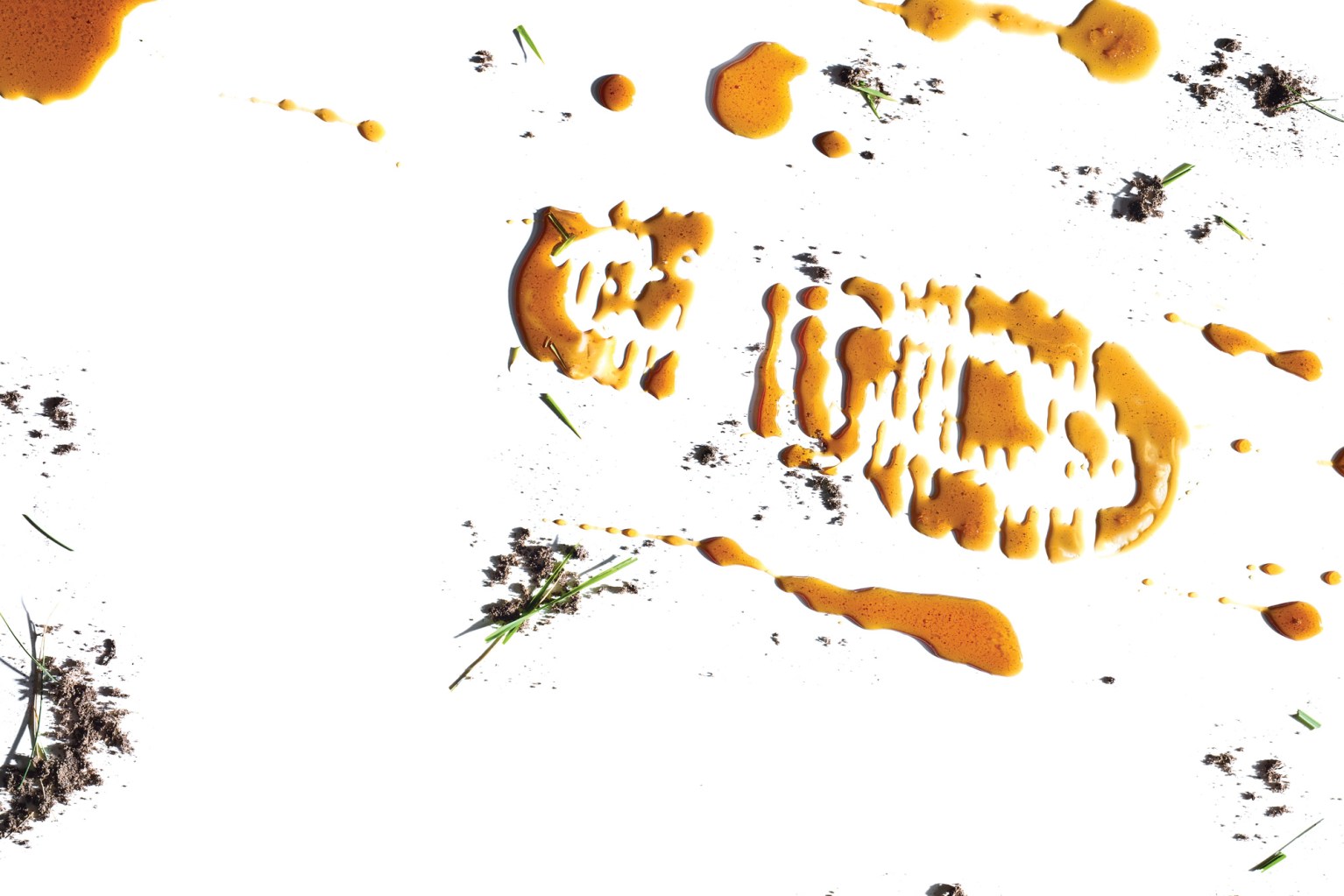 Bee theft is almost a perfect crime—but there’s a new sheriff in town