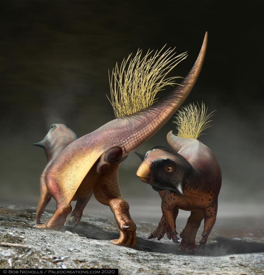 How did dinosaurs have sex? It's still a fossil mystery. | Popular Science