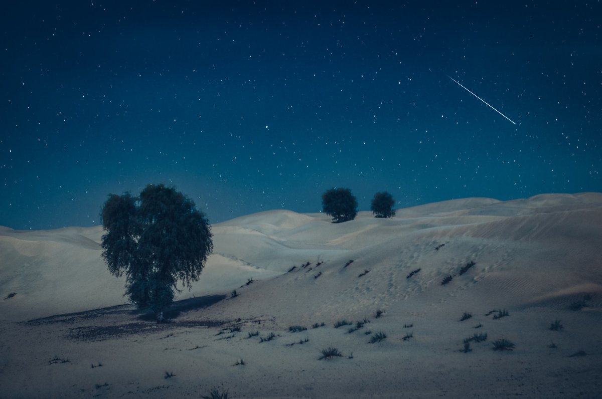 It’s a cosmic miracle that life on Earth’s lasted this long