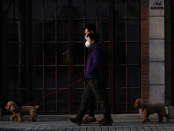 100 days of wearing masks could make an enormous difference in the pandemic