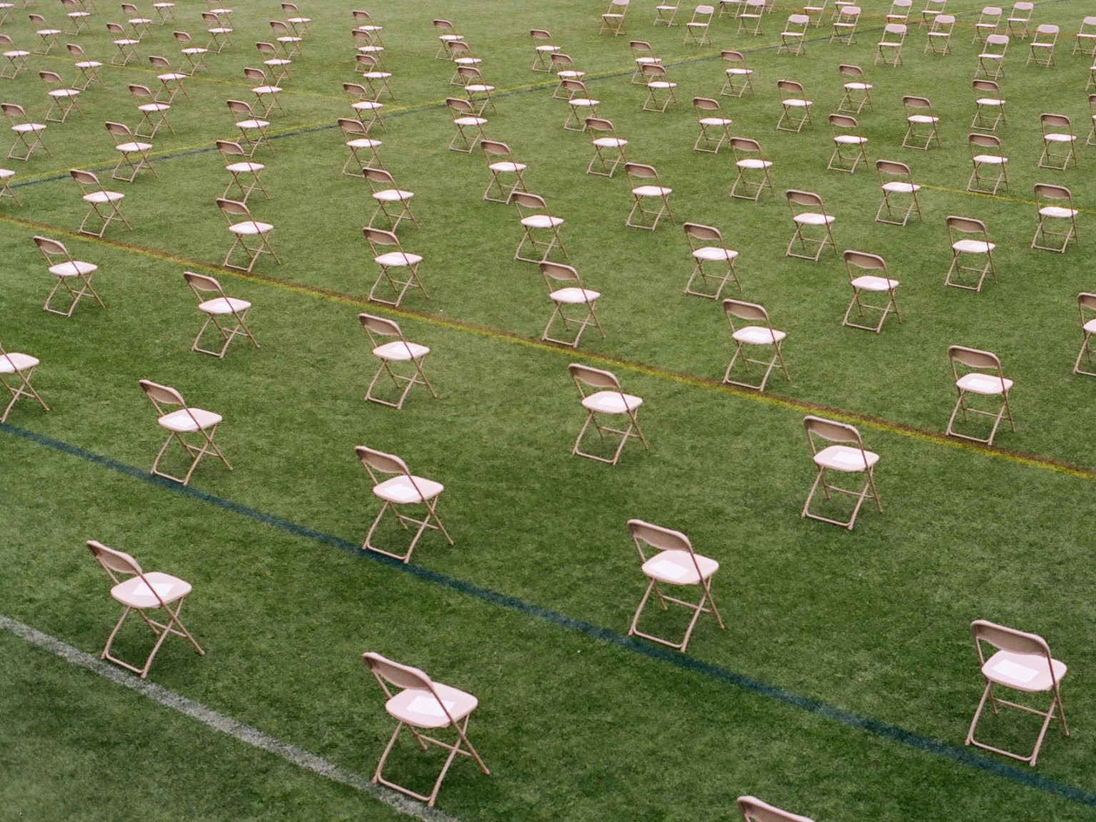 Animals are better at social distancing than we’ll ever be