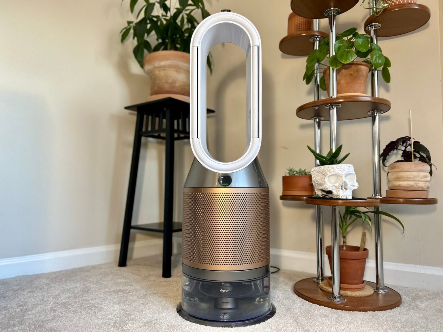 The best humidifiers in 2024 | Popular Science