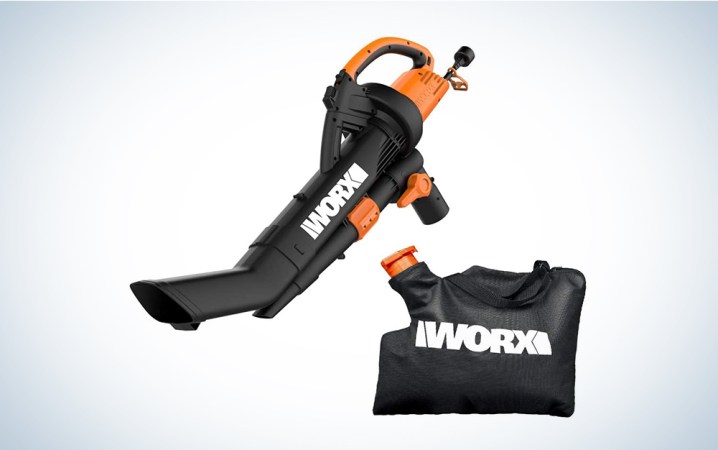 The best leaf vacuums of 2024 | Popular Science