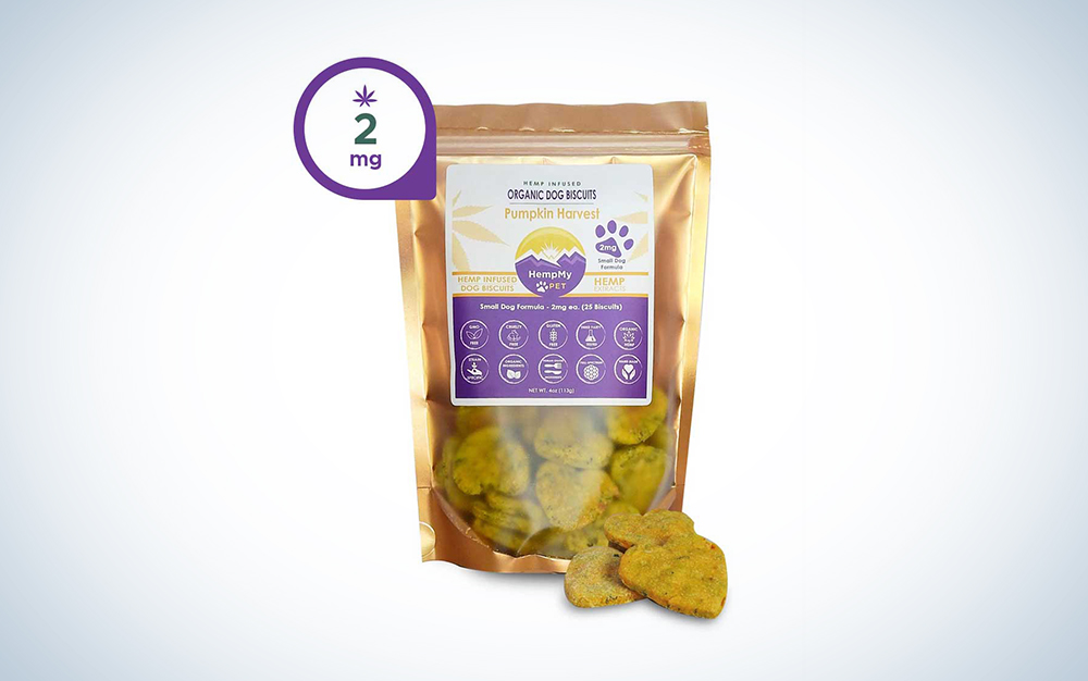 The best CBD dog treats of 2024 | Popular Science