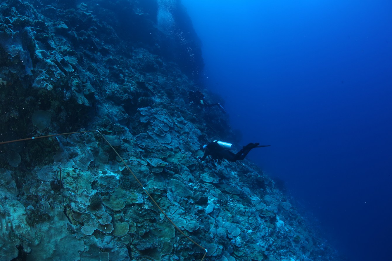 Shallow-water mining is still an environmental problem | Popular Science