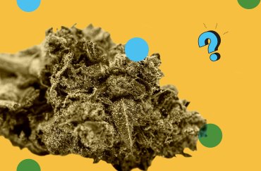 Can you overdose on weed? Here's the science. | Popular Science
