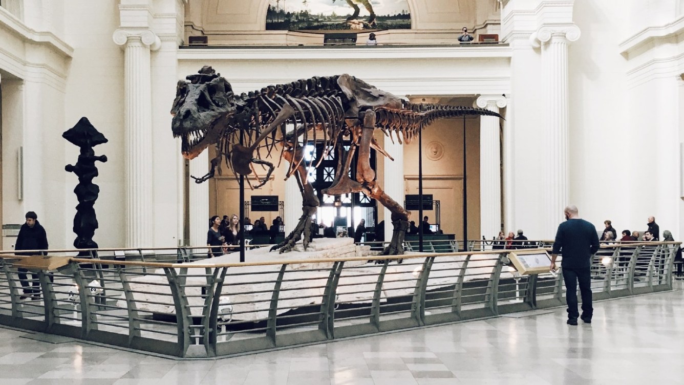 T. rex dominated the Earth for more than 125,000 generations | Popular ...