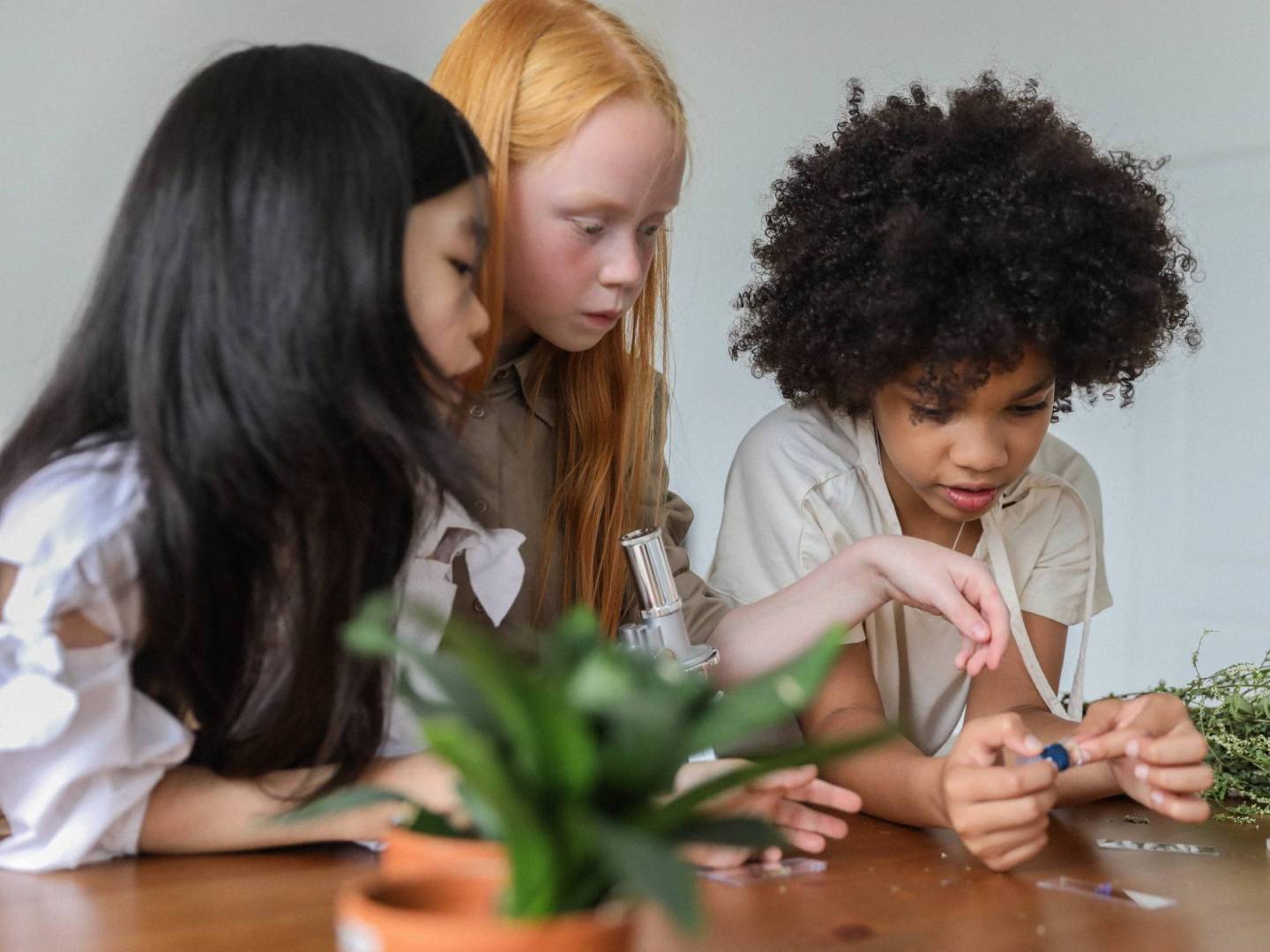9 citizen science projects for the whole family | Popular Science