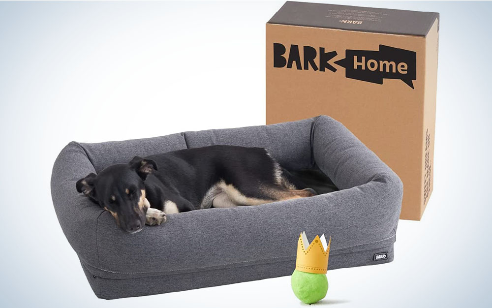 The best dog beds of 2024 | Popular Science