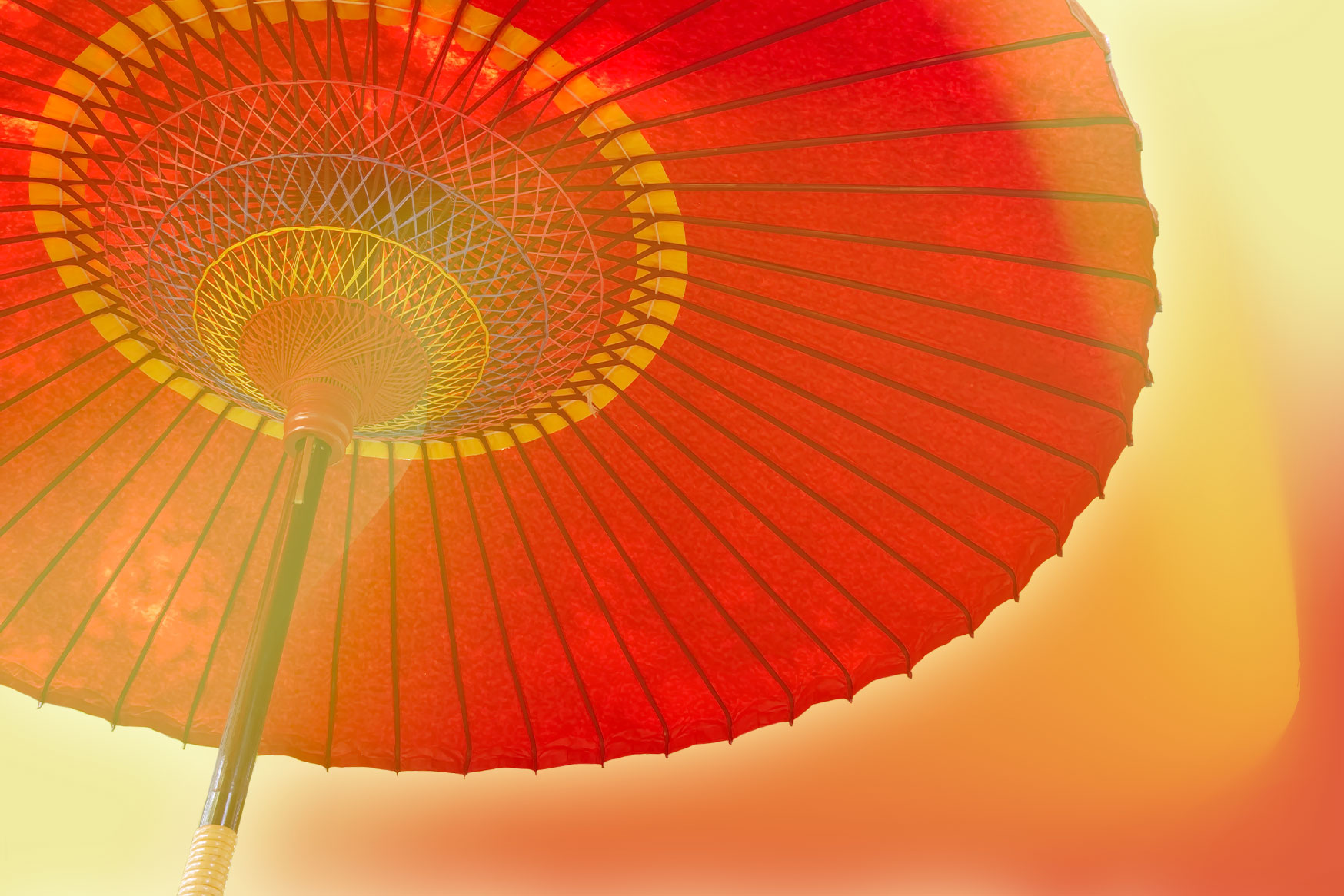 The best parasols for sun protection this summer | Popular Science