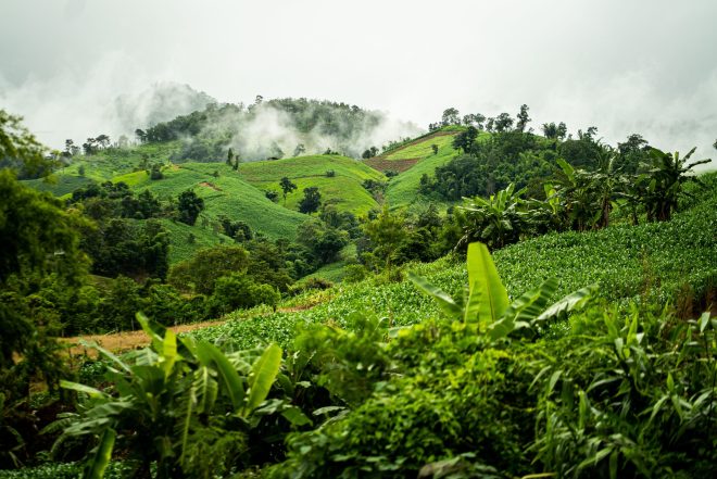 Can we untangle ecology from its colonial biases? | Popular Science
