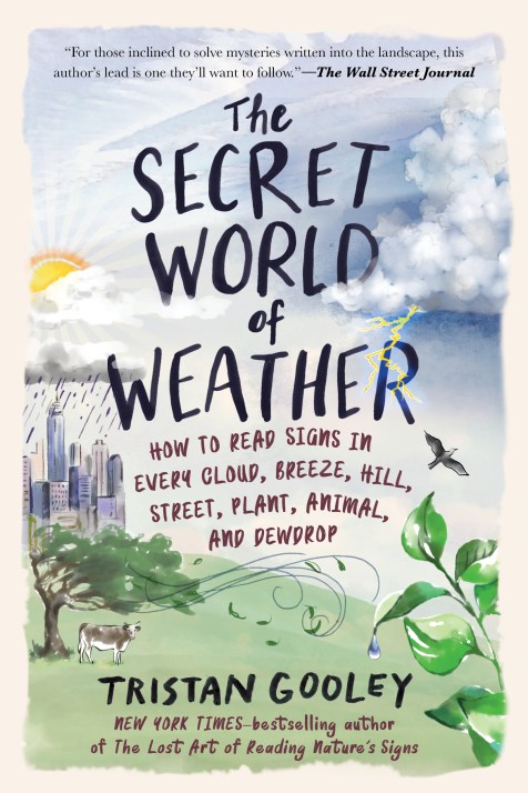 How to read natural clues to predict the weather | Popular Science