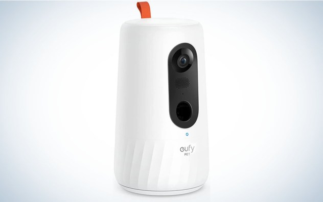 The best dog cameras of 2024 | Popular Science