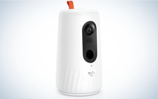 The best dog cameras of 2024 | Popular Science