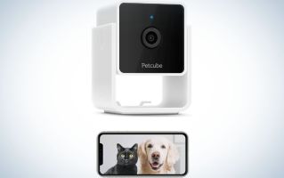 The best dog cameras of 2024 | Popular Science