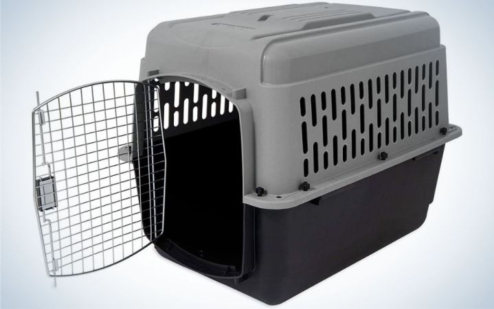 Best dog crates | Popular Science