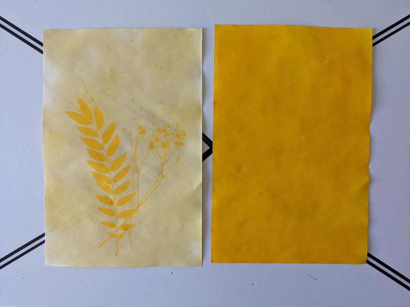 Print your own images using turmeric and sunlight | Popular Science